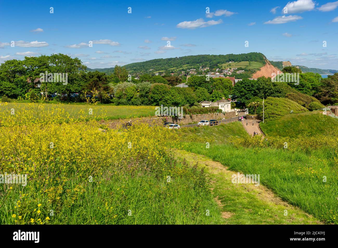 The South West Coast Path at Jacobs Ladder, Sidmouth, East Devon ...