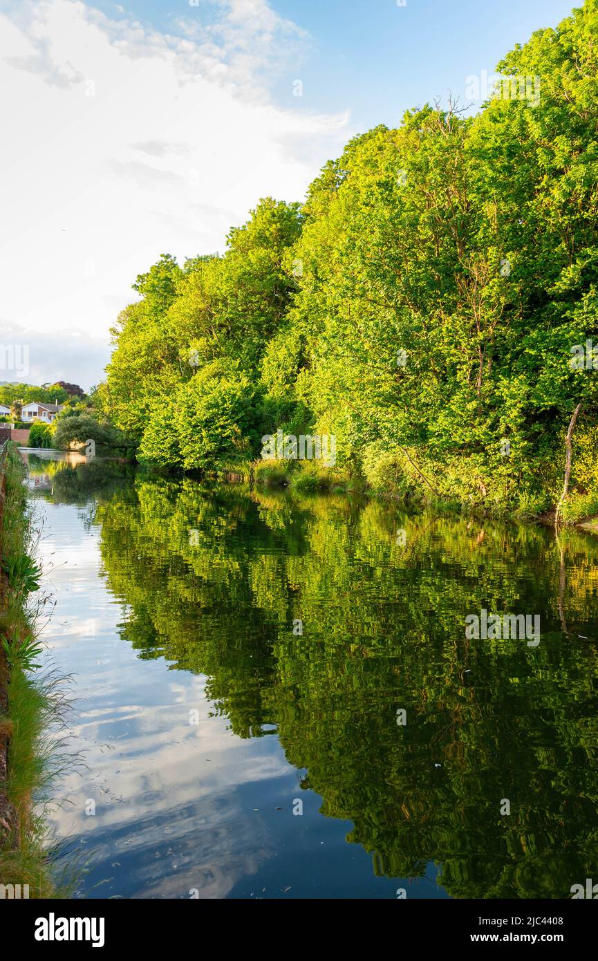 River sid hi-res stock photography and images - Alamy