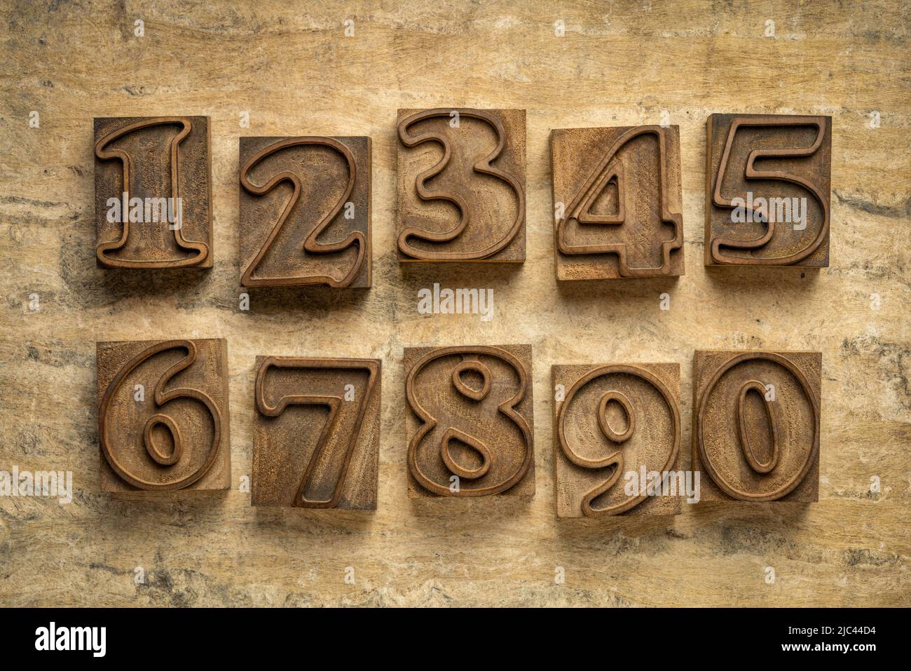 numbers in letterpress wood type (outlined font) against textured bark ...