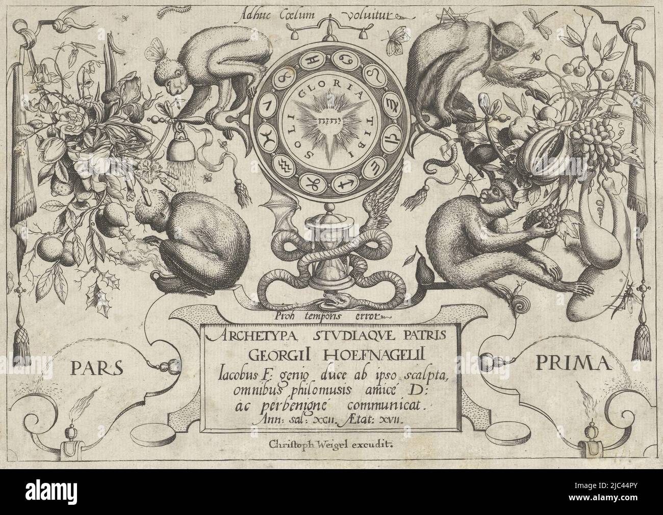 Angels insects hi-res stock photography and images - Alamy