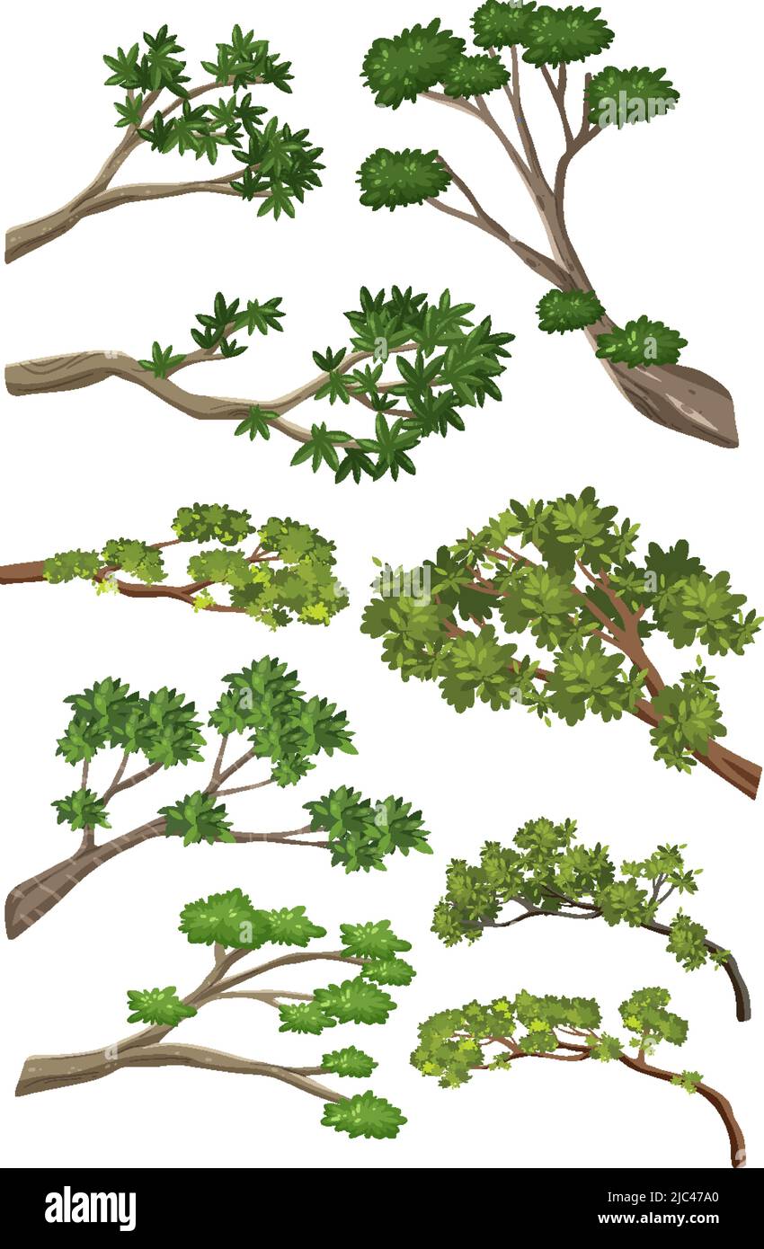 Isolated tree branches on white background illustration Stock Vector ...