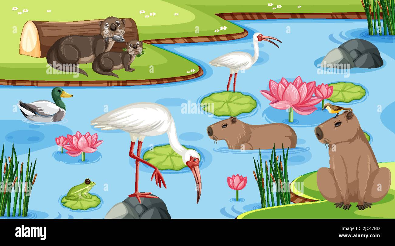 Various animals in the pond illustration Stock Vector Image & Art - Alamy