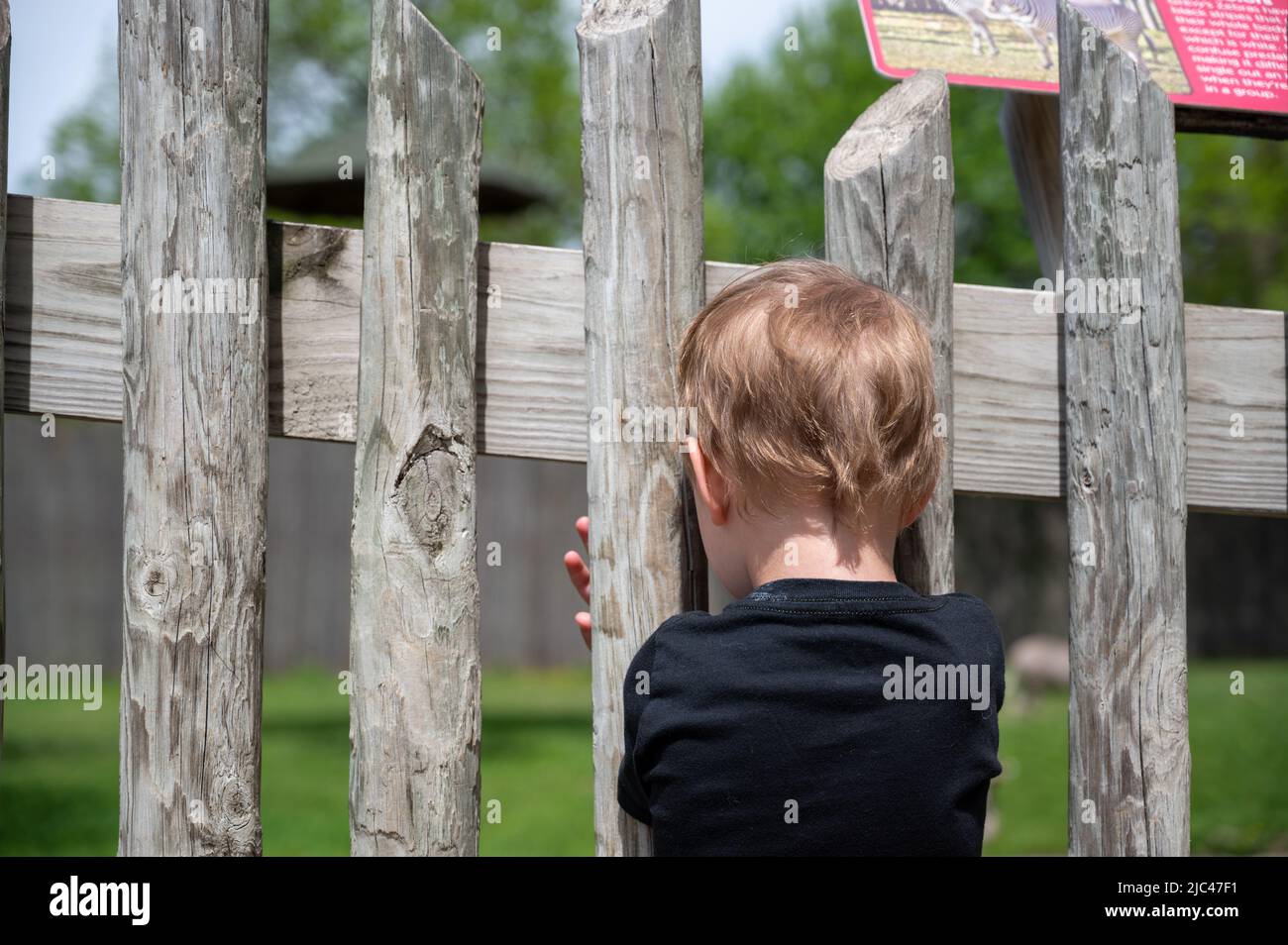 Lost and missing family hi-res stock photography and images - Alamy