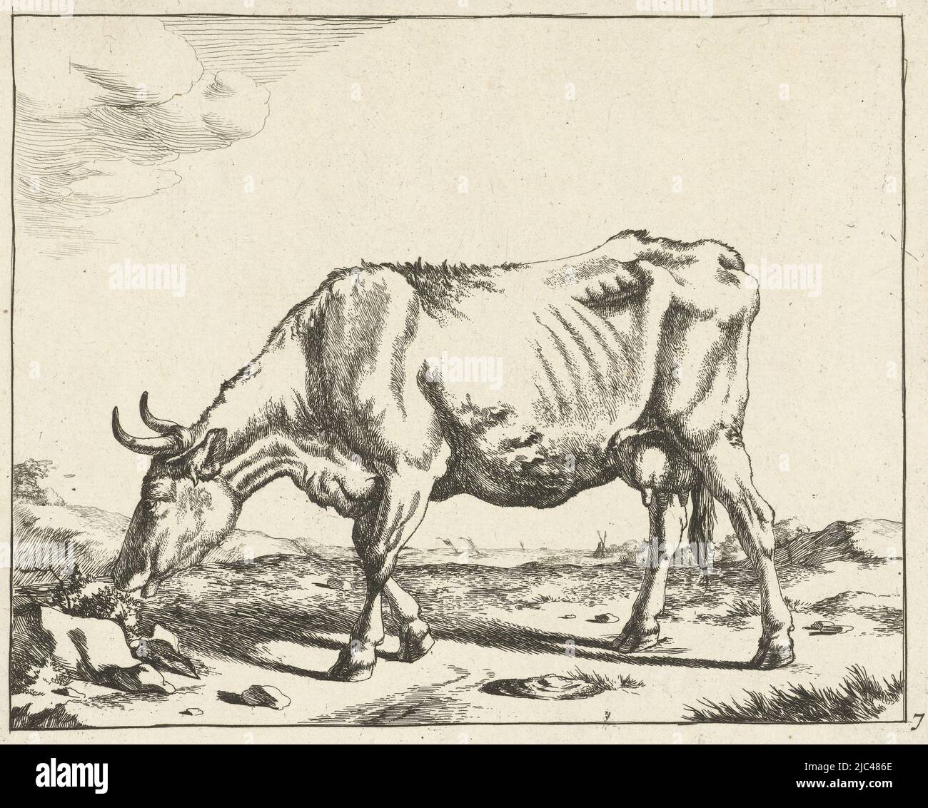 H 173 mm w 140 mm hi-res stock photography and images - Alamy