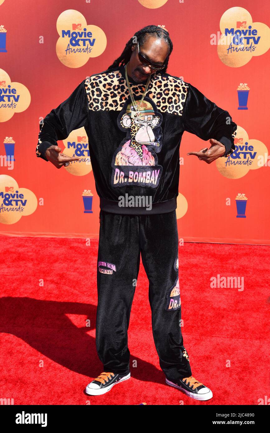 Santa Monica, CA USA - June 5, 2022. Snoop Dogg attends the 2022 Movie ...