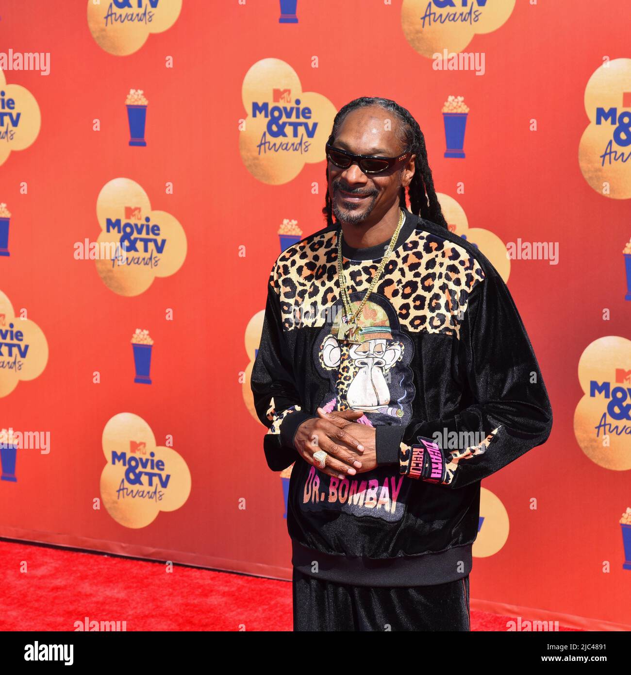 Santa Monica, CA USA - June 5, 2022. Snoop Dogg attends the 2022 Movie ...