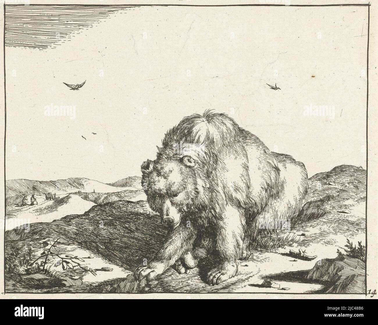 Sitting bear, seen from front Bears (series title), print maker: Marcus ...
