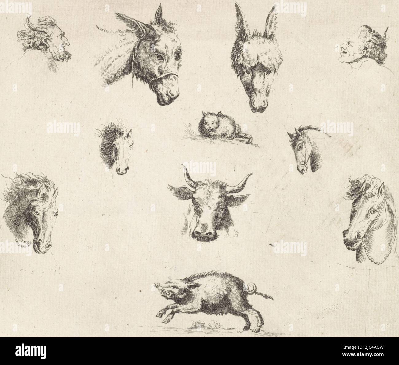 Top two satyr heads hi-res stock photography and images - Alamy