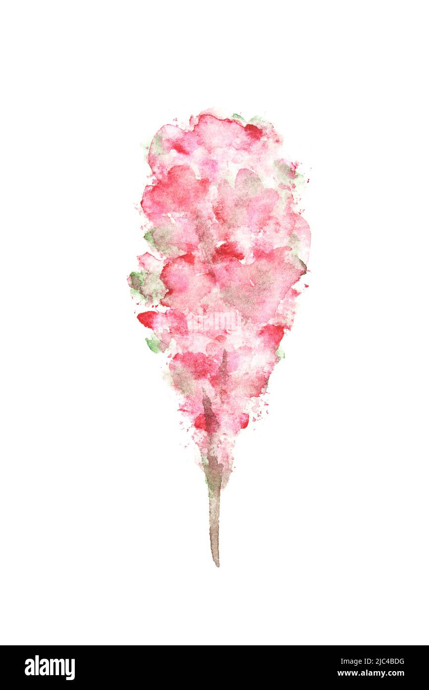Blossoming watercolor pink tree. Spring flower in bloom on branch ...