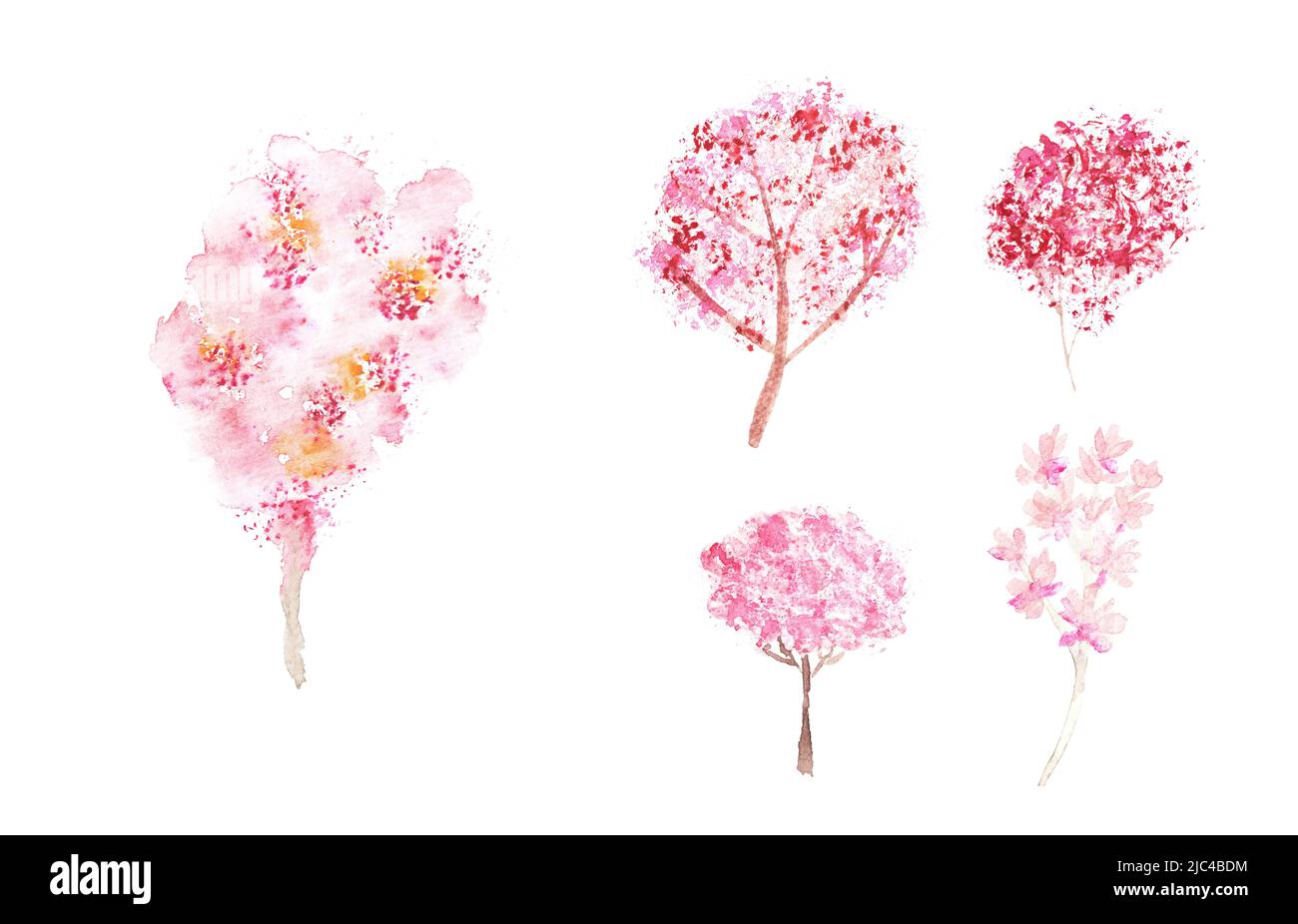 Blossoming watercolor pink tree. Spring flower in bloom on branch ...