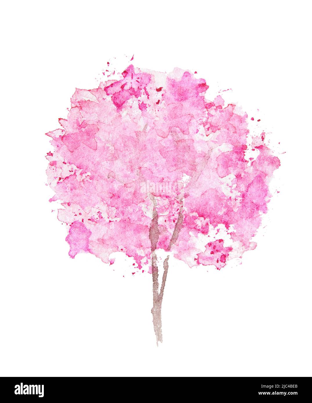 Blossoming watercolor pink tree. Spring flower in bloom on branch ...