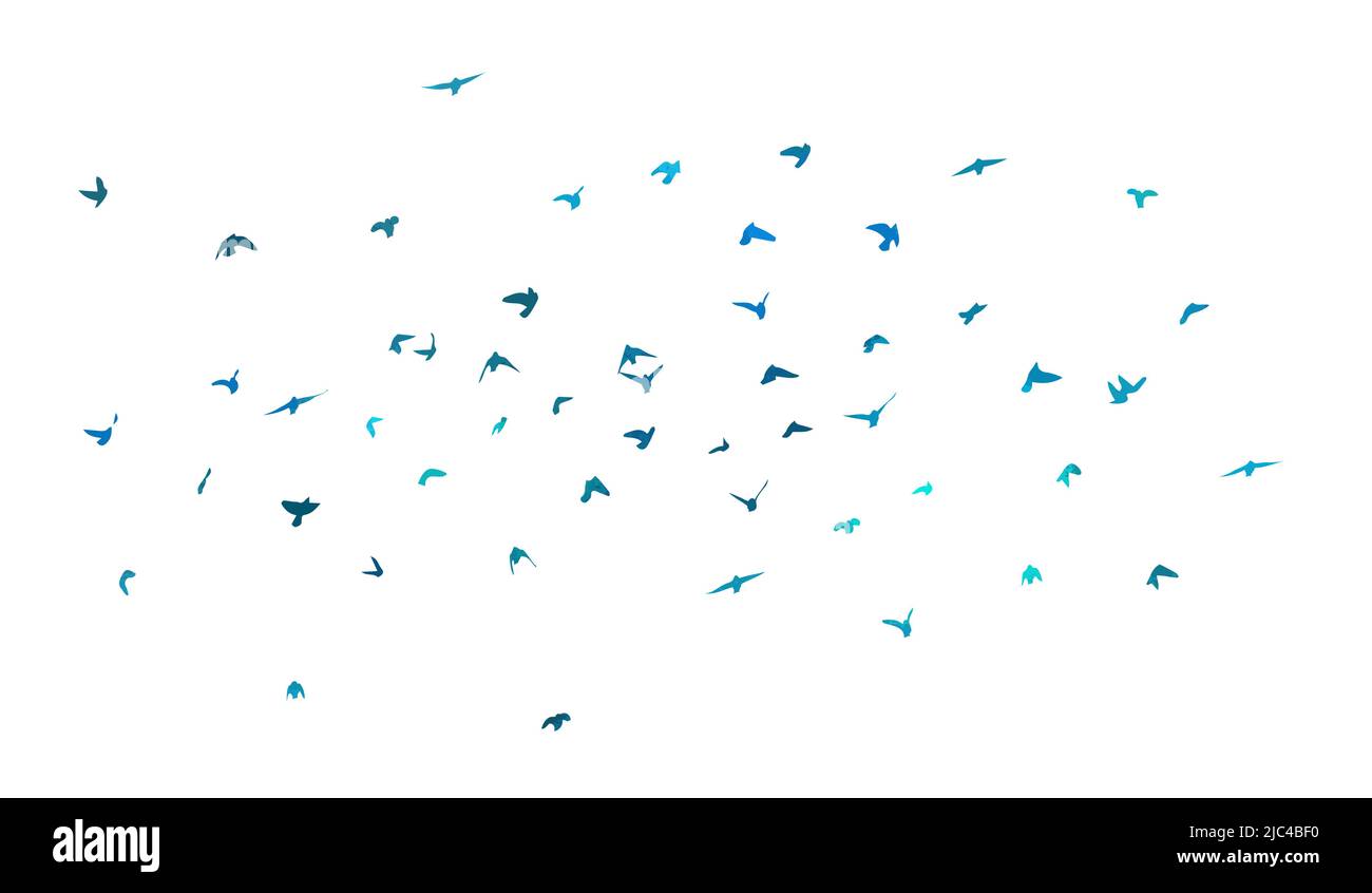 A flock of blue birds. Vector illustration Stock Vector Image & Art - Alamy