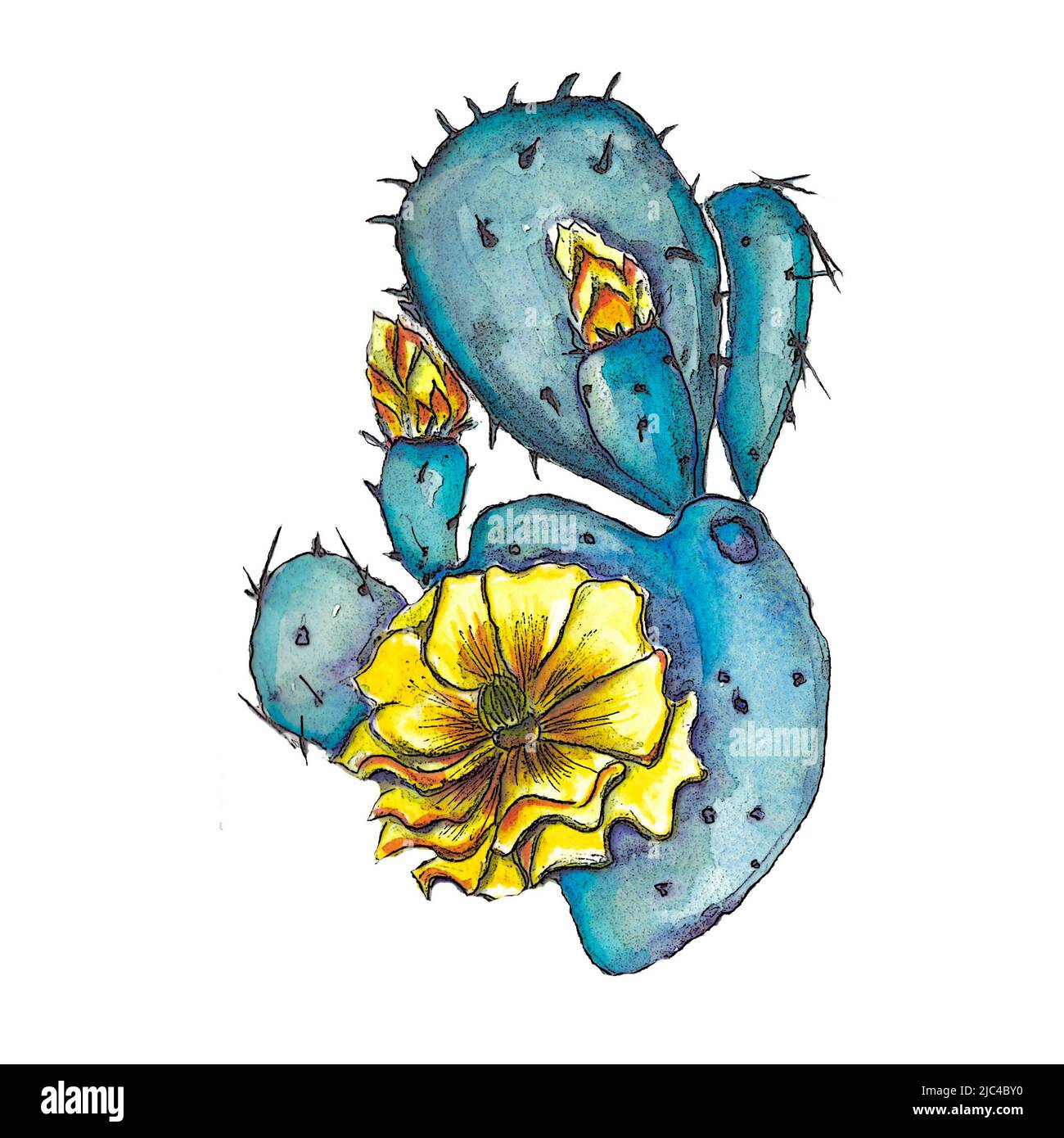 Blue and yellow plant blooming cactus Stock Photo - Alamy