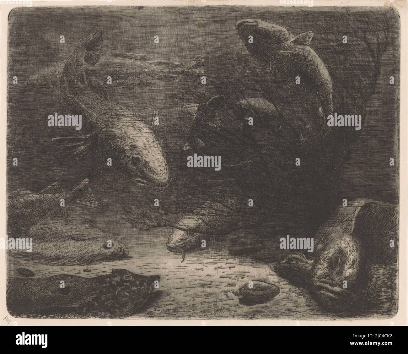 Aquarium with eleven fish and a crab. On the left, two plaice lie on ...