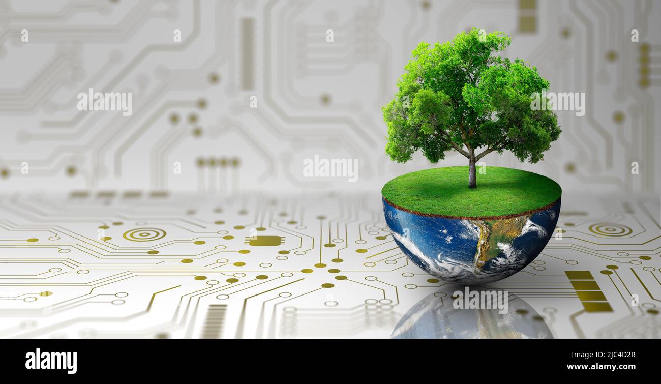 Tree growing on half of earth with green grass and butterfly. Digital ...