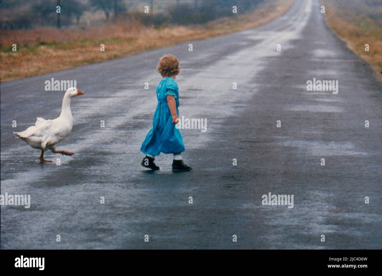 Girl crosses the road hi-res stock photography and images - Alamy