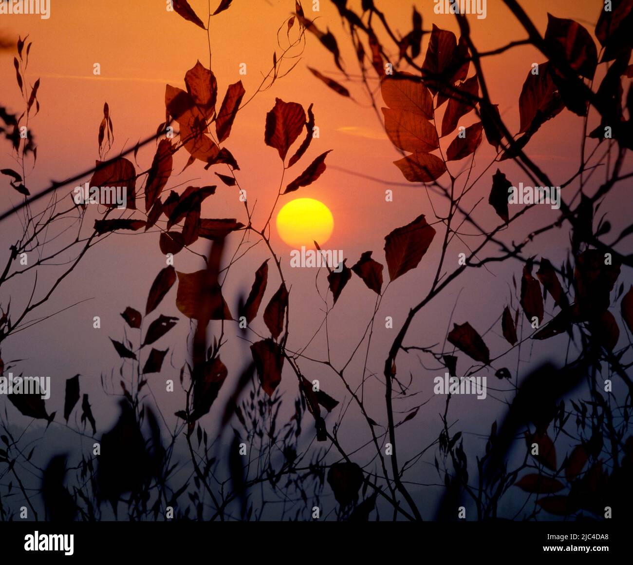 Atmospheric twilight mood hi-res stock photography and images - Alamy