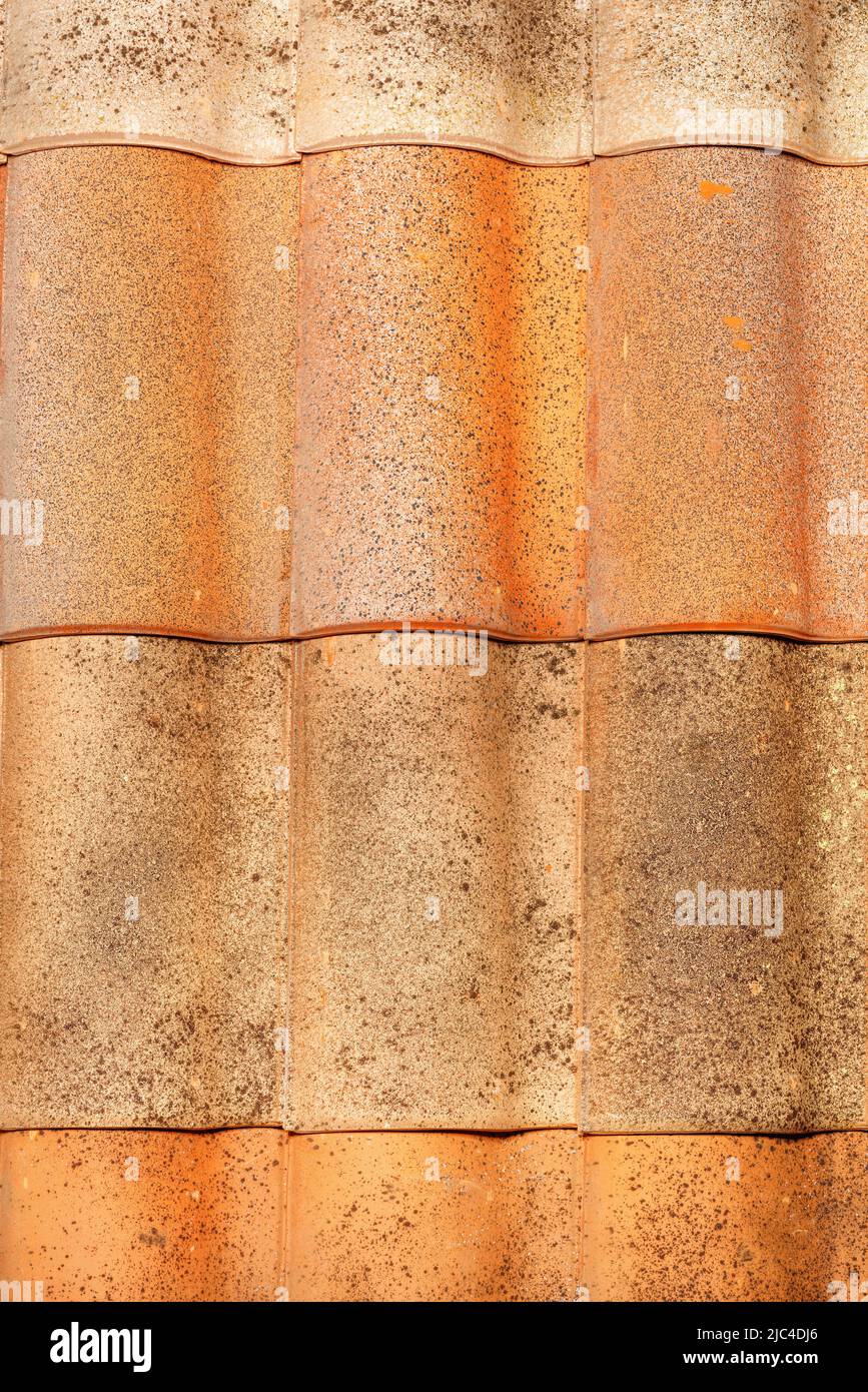 Background and texture of an old wavy tiled roof with stains and black ...