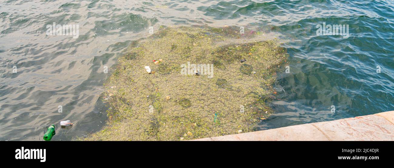 Garbage floating heap in mediterranean sea close-up Stock Photo - Alamy
