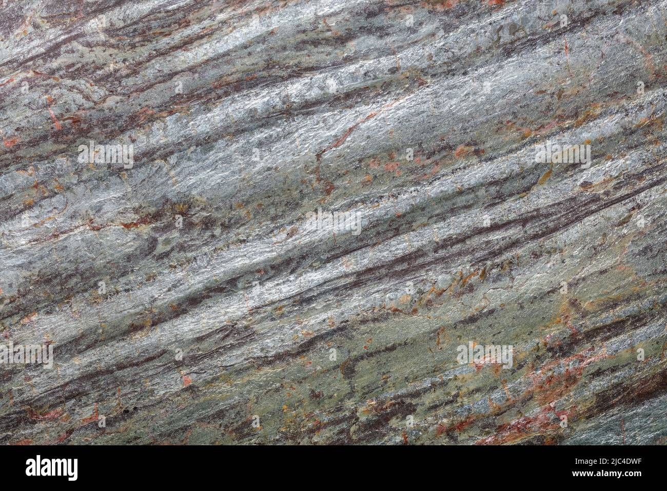 Beautiful wood surface pattern with metallic hues and wavy grey-green ...