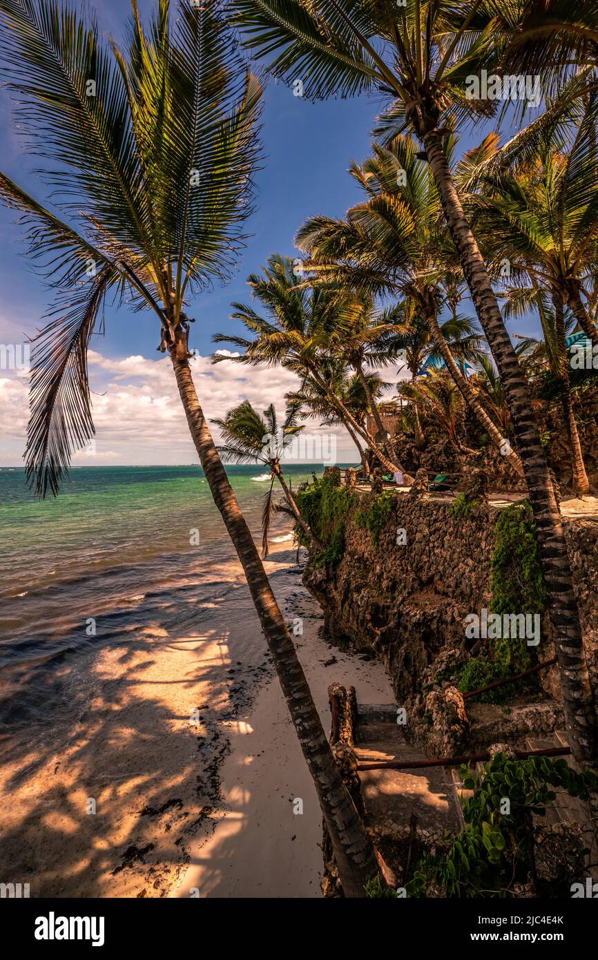 A view between palm trees and stairs to the beach and the sea. Sunset ...