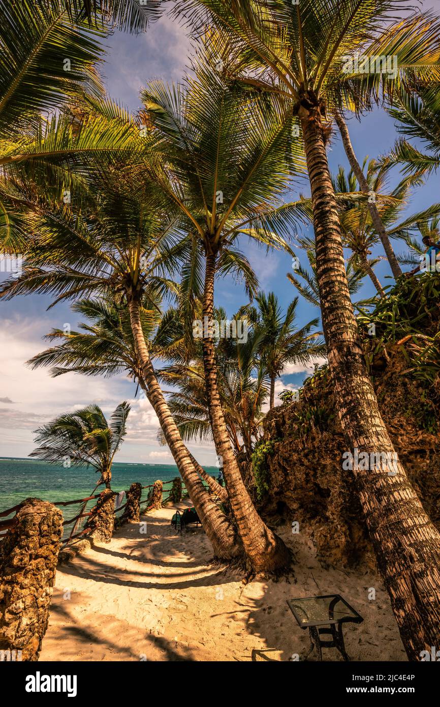 A view between palm trees and stairs to the beach and the sea. Sunset ...