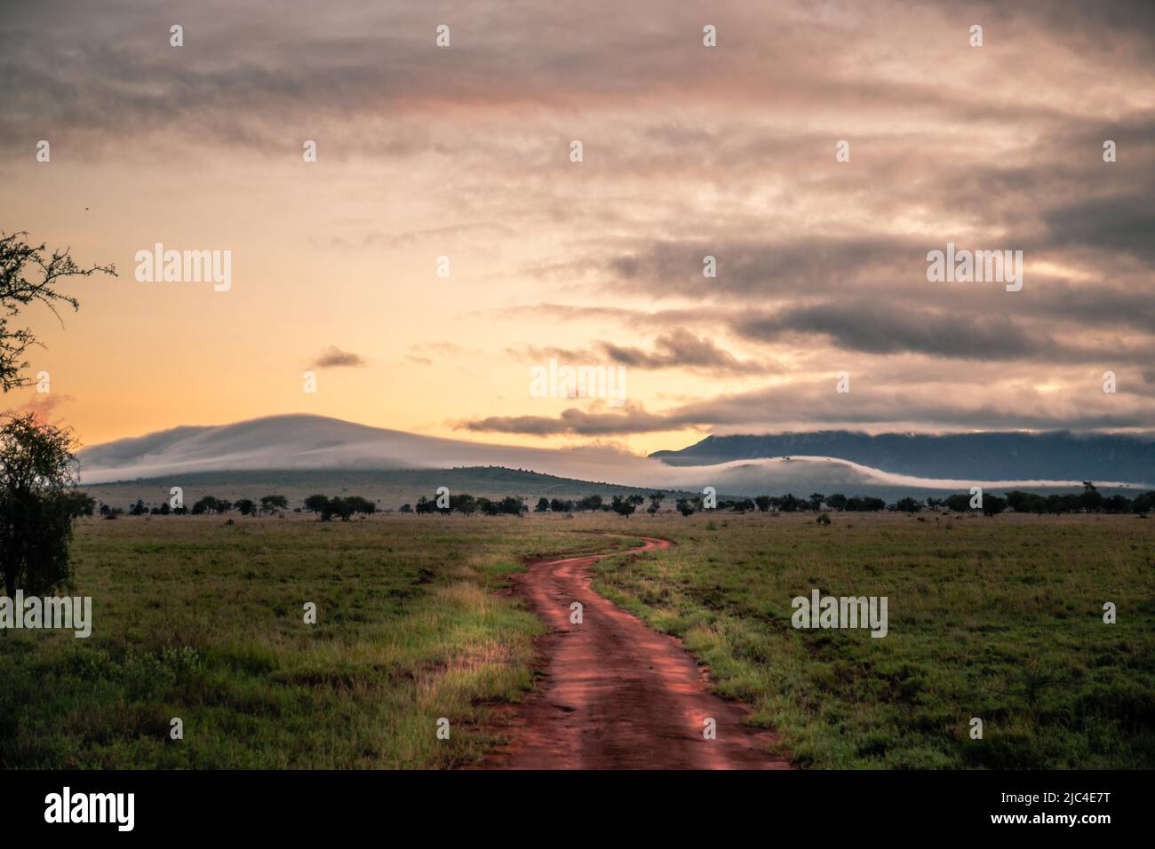 Landscape shot in the wide savannah with mountains and morning fog ...