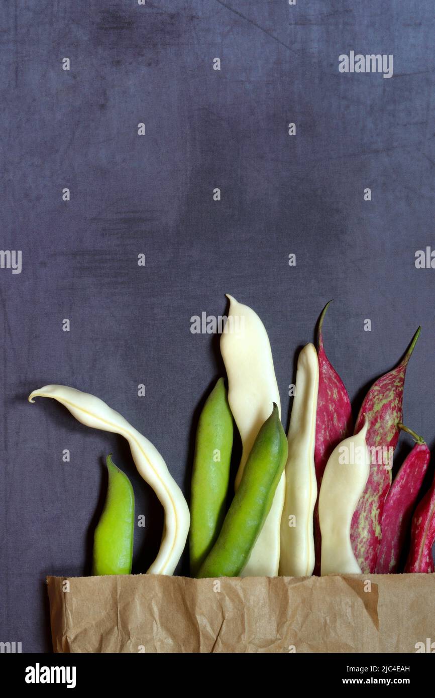 Various beans, Fave bean, Coco bean and Borlotti bean Stock Photo - Alamy