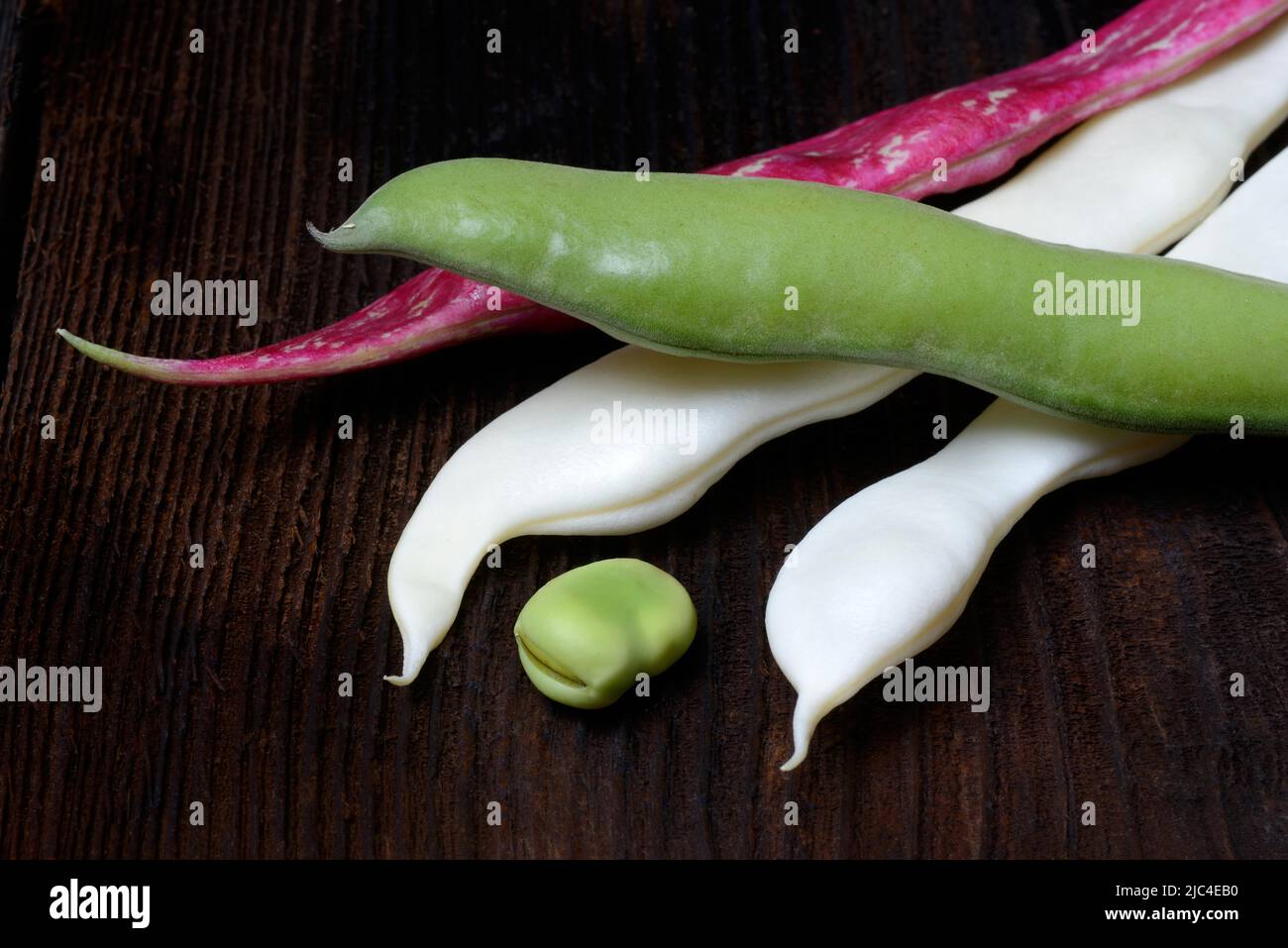 Various garden beans, Coco bean, Fave bean and Borlotti bean Stock ...