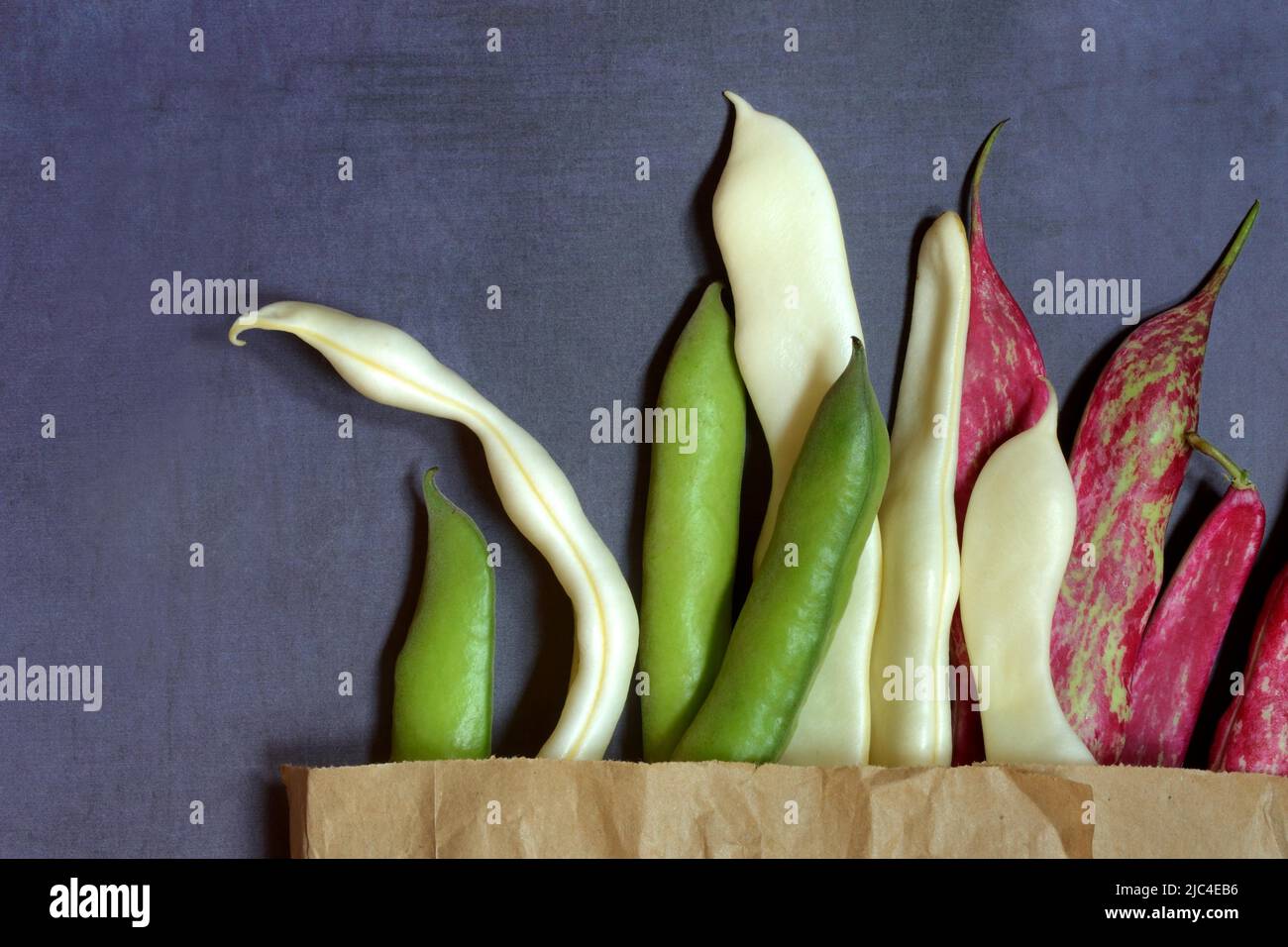 Various beans, Fave bean, Coco bean and Borlotti bean Stock Photo - Alamy
