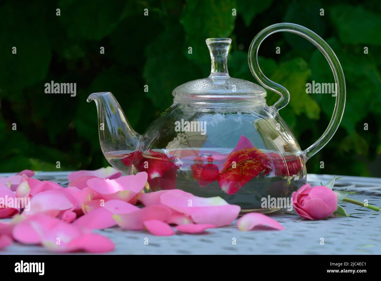 Rose tea in teapot and rose petals, tea Stock Photo - Alamy