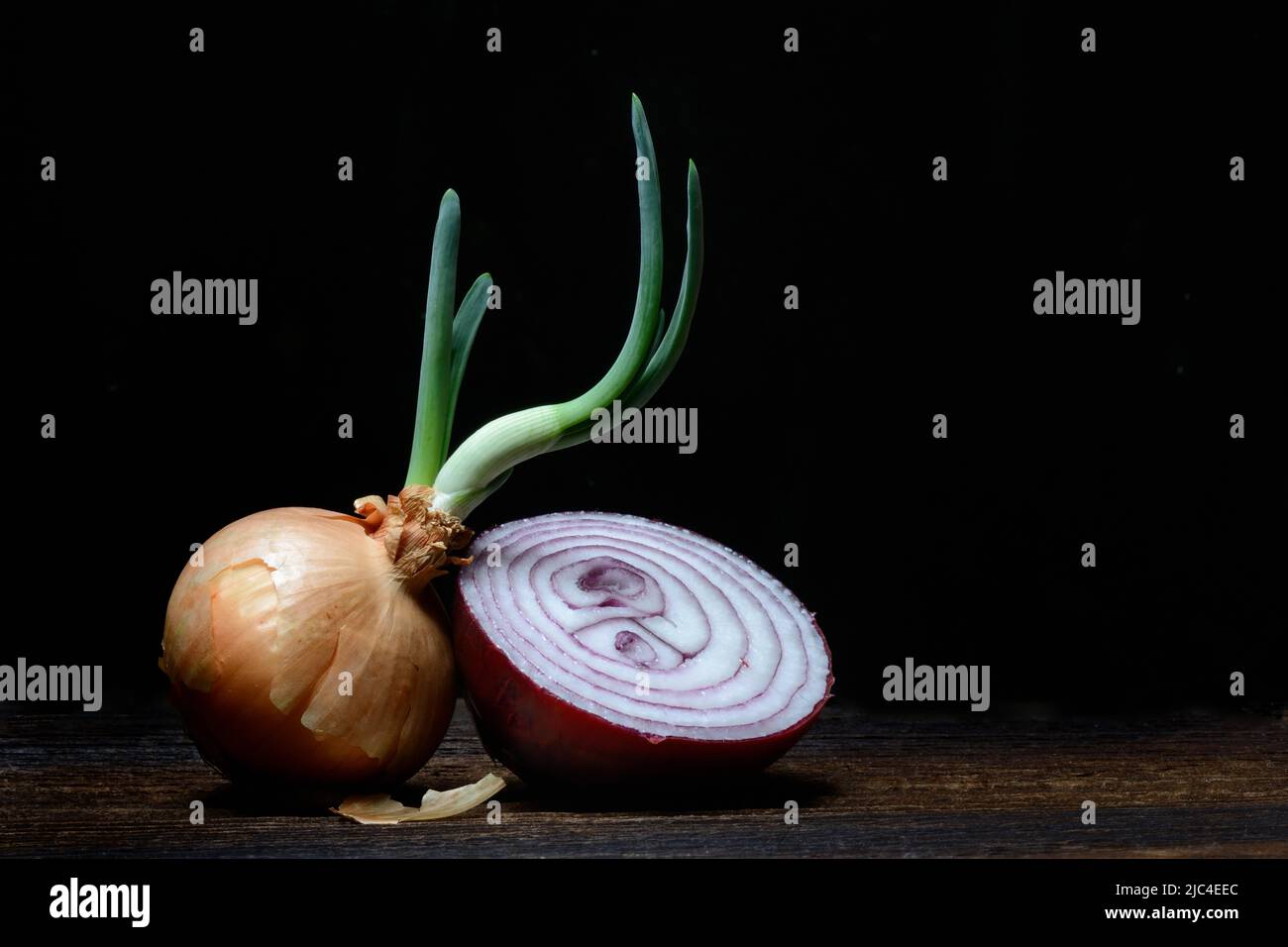 Sprouting common onion (Allium cepa) and halved red onion Stock Photo ...