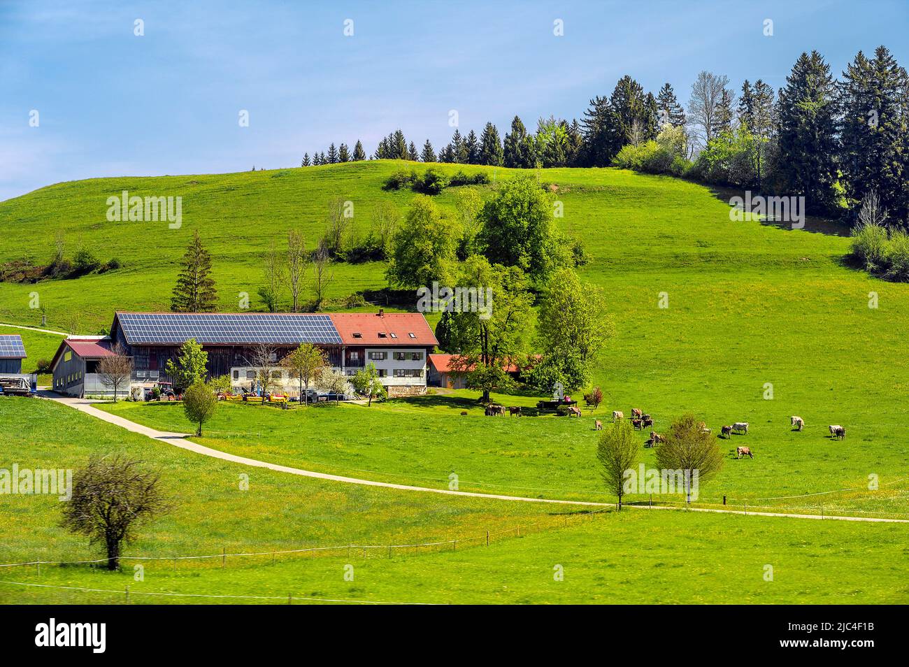 Baurernhof with solar roof in Fruehlingswiesen near Stiefenhofen ...