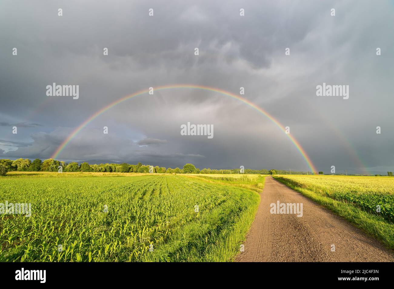 Rainbow, panoramic view, Achern, Baden-Wuerttemberg, Germany Stock ...