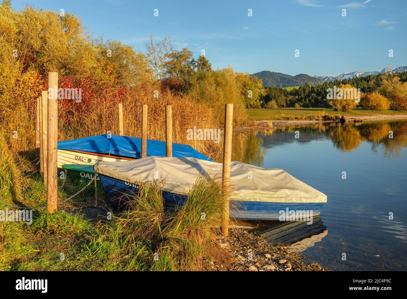 Fishing boats at the Forggensee, Ostallgaeu, Upper Bavaria, Germany ...