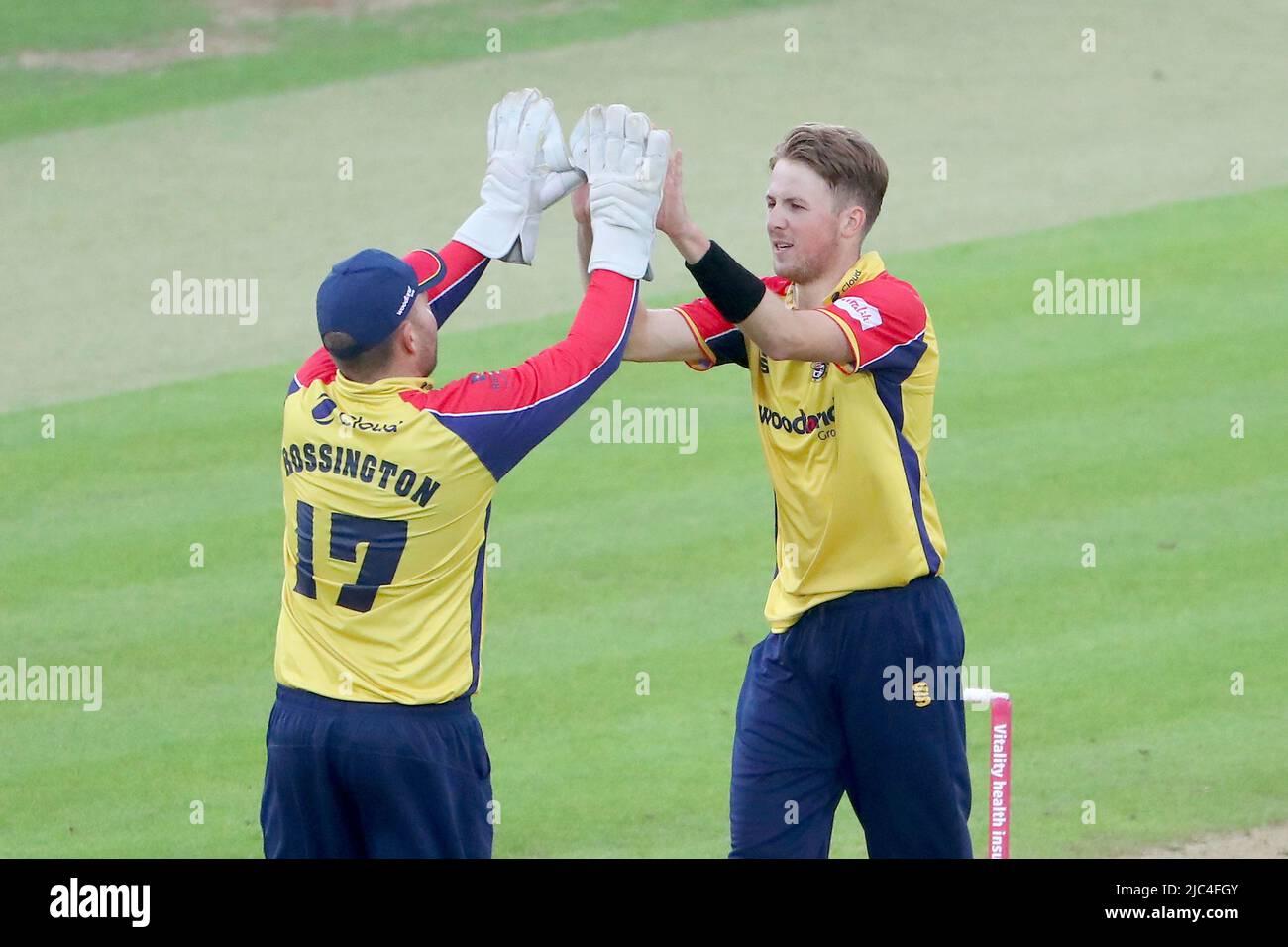 Joe weatherley cricket hi-res stock photography and images - Alamy