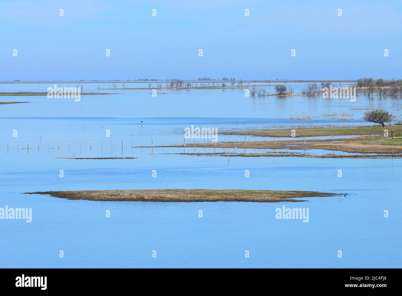 Alluvial land on the Rio Parana, Entre Rios Province, Argentina Stock ...