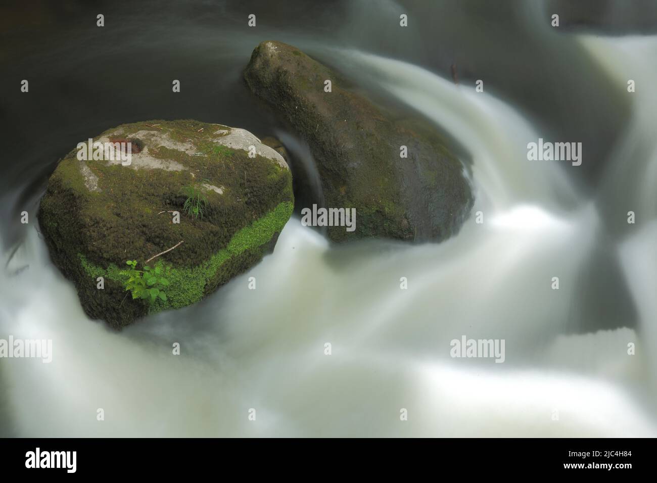 Stone surrounded by water in the Pruem, Irrel waterfalls, Irrel, Eifel ...