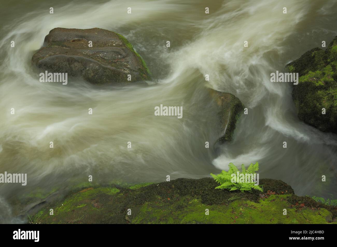 Pruem river hi-res stock photography and images - Alamy