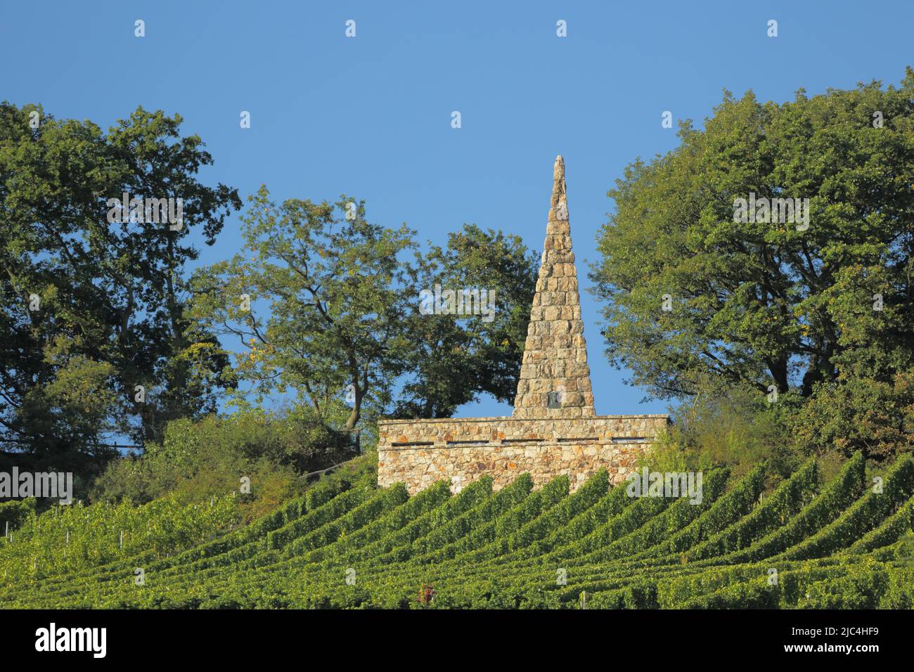 Goethe stone with vines in Frauenstein, Wiesbaden, Hesse, Germany Stock ...