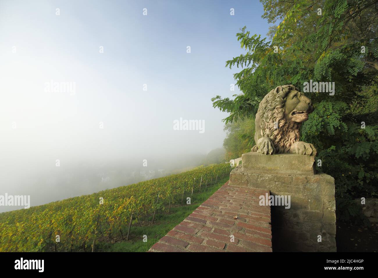Lion Terrace on the Neroberg with fog in Wiesbaden, Hesse, Germany ...
