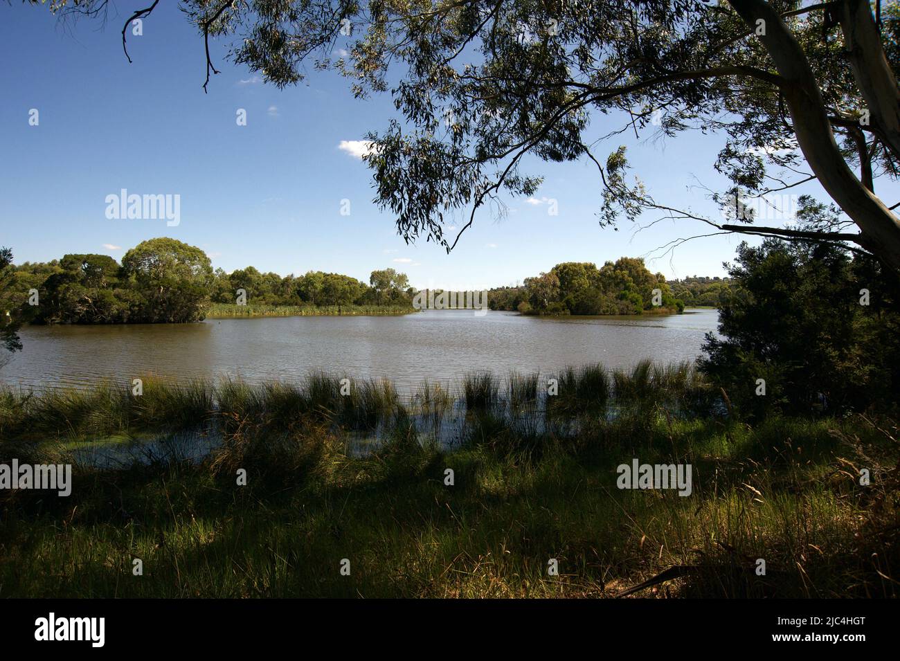 Jells Park Lake in afternoon sun - looks attractive. Jells Park is on ...