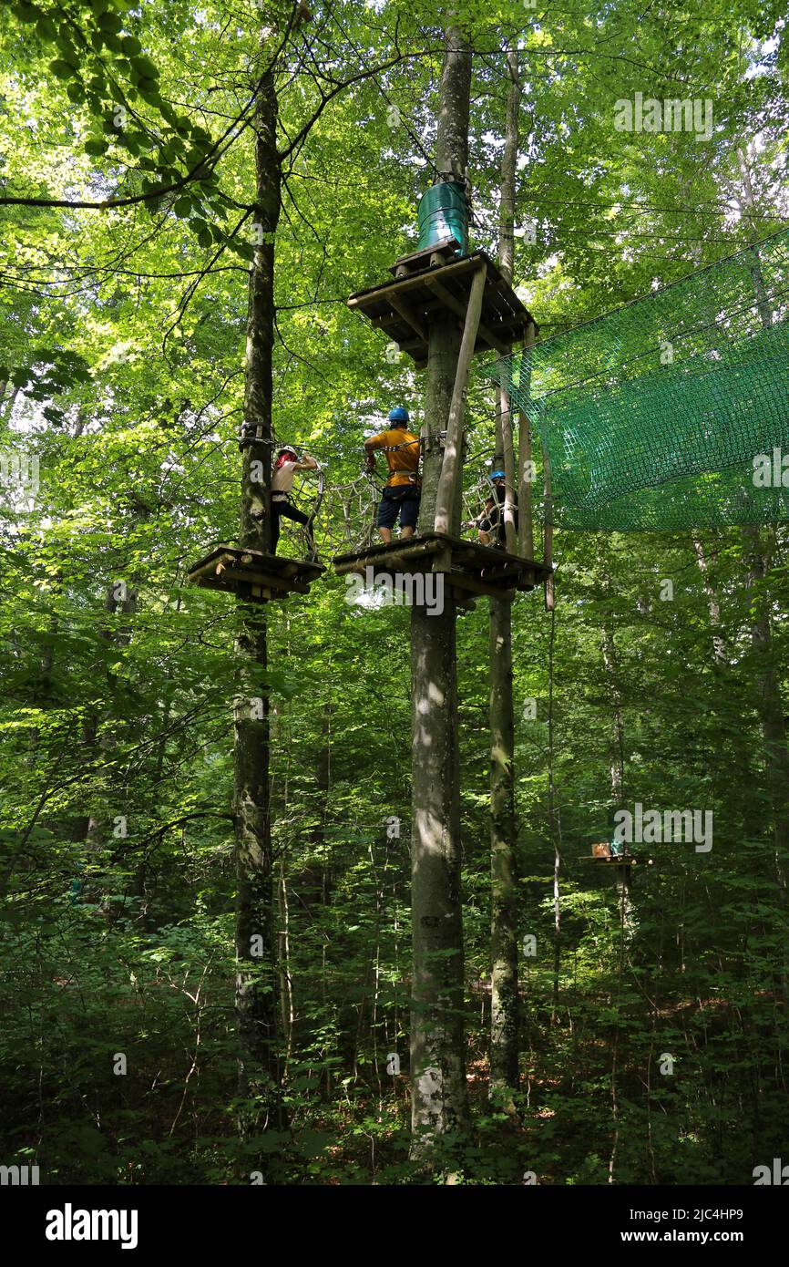 Adventure park, forest ropes course, climbing forest climbing element ...