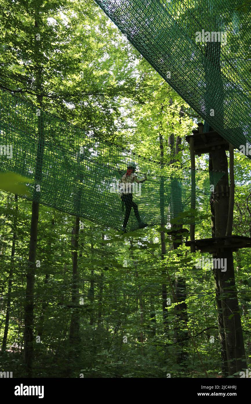 Adventure park, forest ropes course, climbing forest climbing element ...