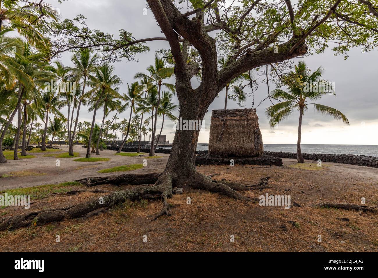 Straw island hi-res stock photography and images - Alamy