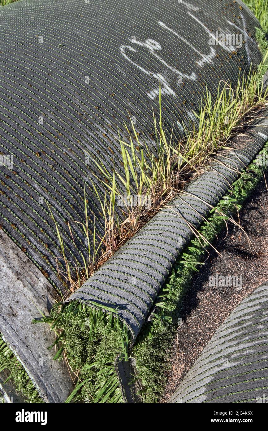 Real grass growing on rolls of old artificial grass outdoors Stock ...