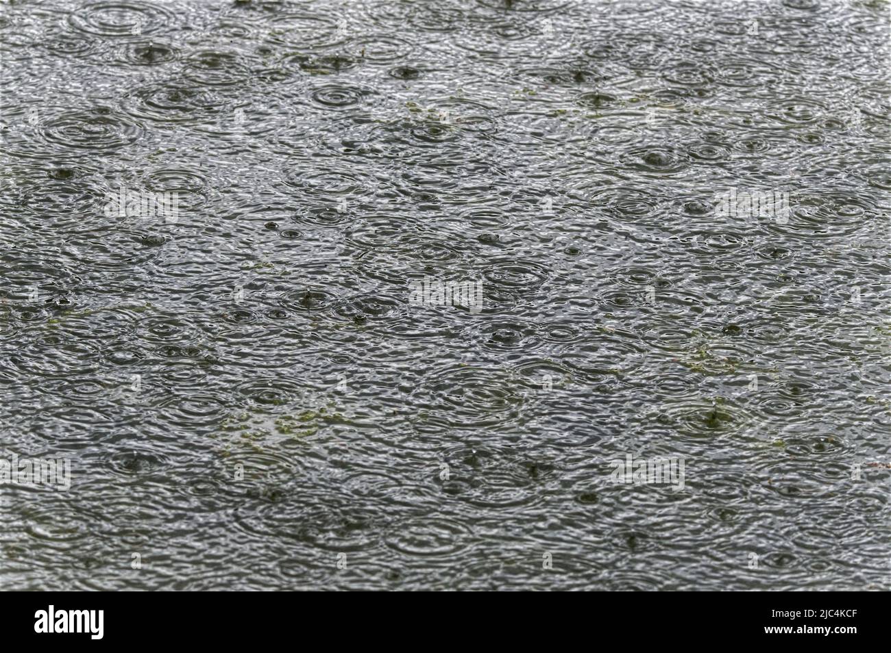 raindrop pattern and shapes on water Stock Photo - Alamy