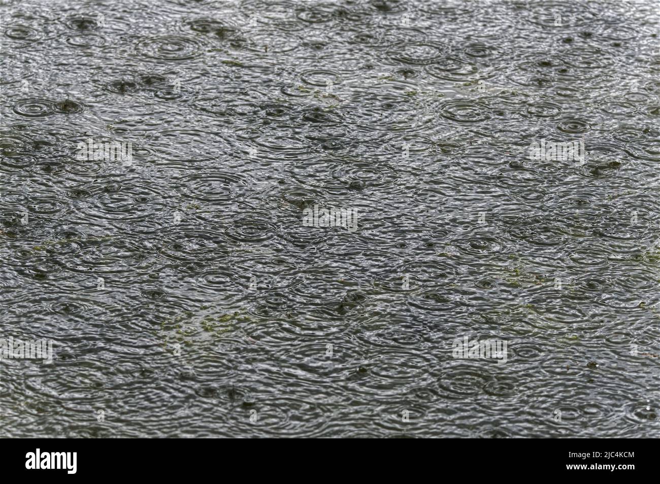 raindrop pattern and shapes on water Stock Photo - Alamy