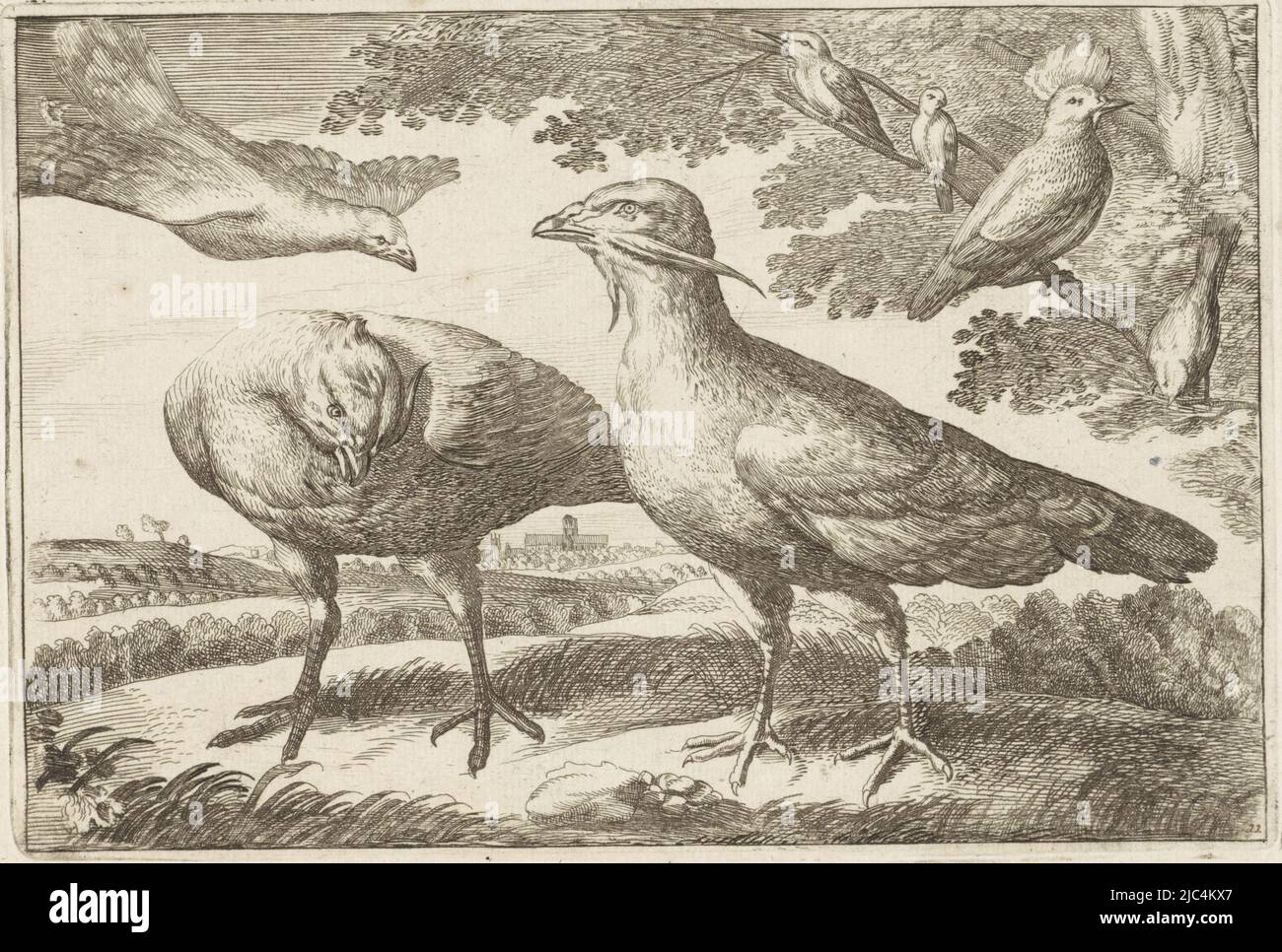 Trap geese in a landscape. To the right four birds, including a ...