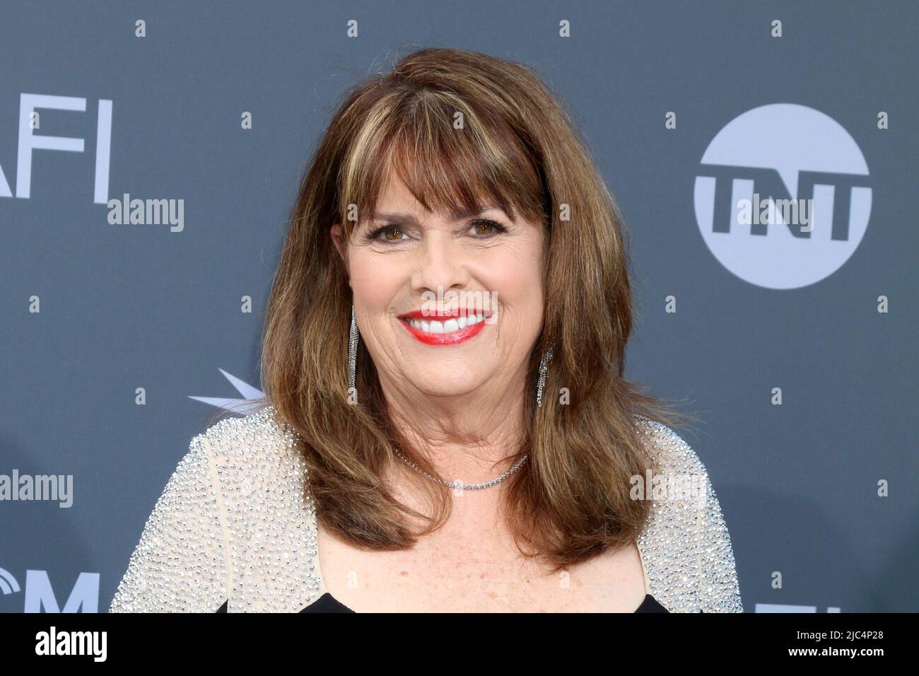 LOS ANGELES - JUN 9: Debbie Turner at the 48th AFI Life Achievement ...